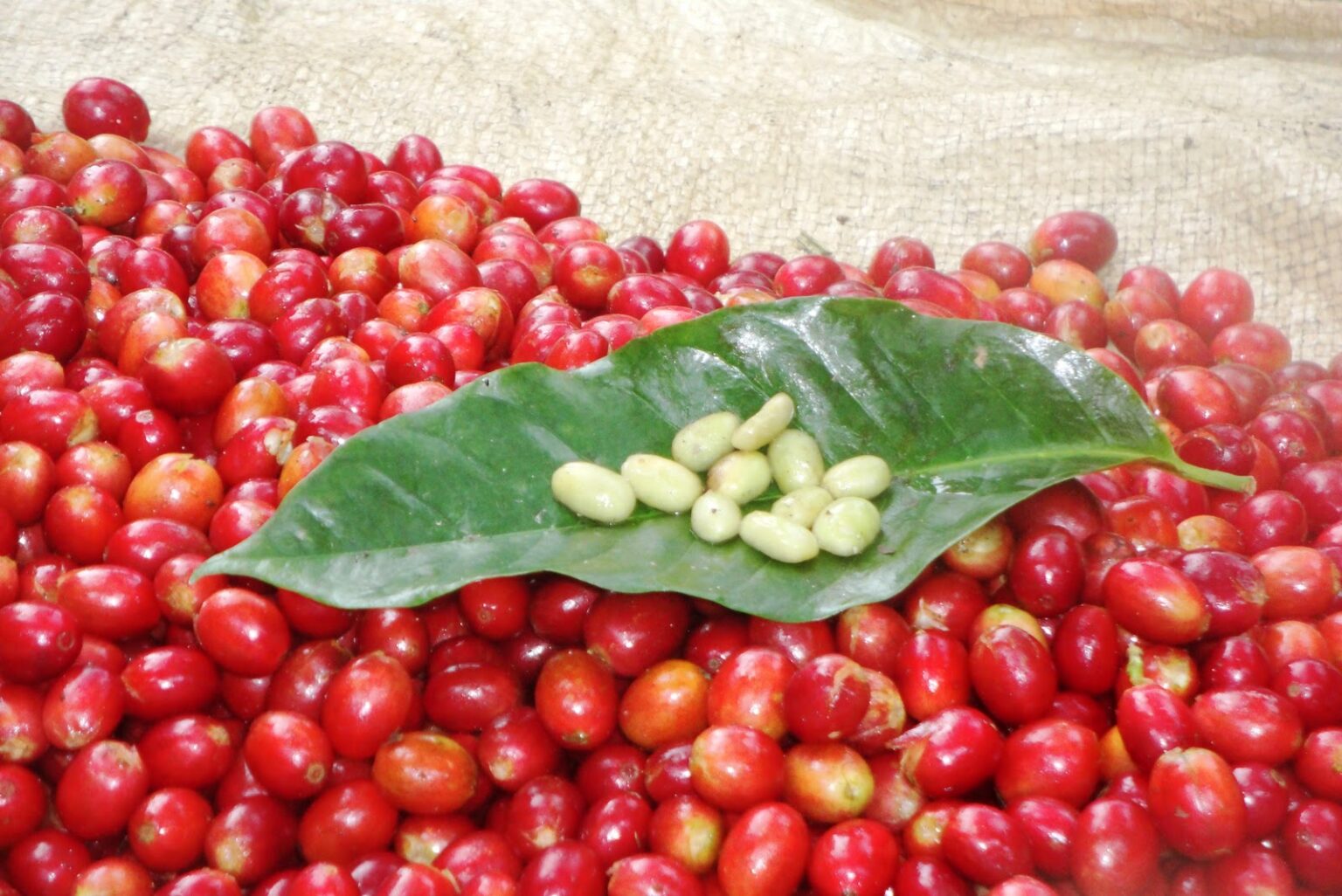 Construir La Ruta Turística de Baní (Los 10 atractivos patrimoniales de ...